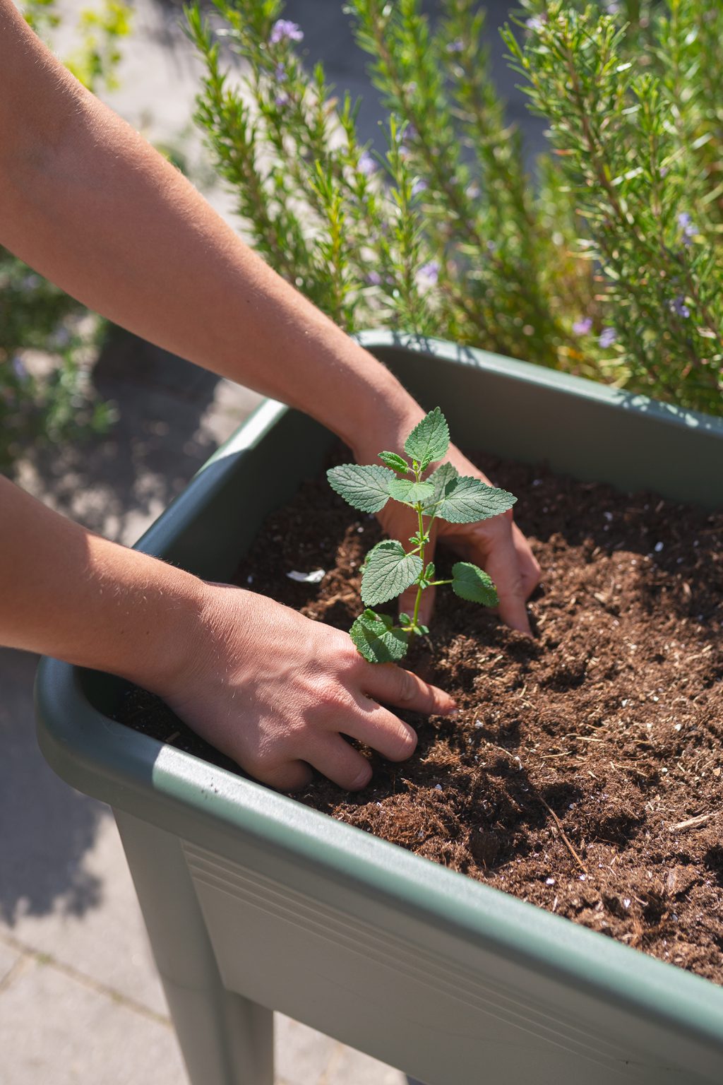 Meer groen in de tuin met de hulp van Elho - Enter My Attic